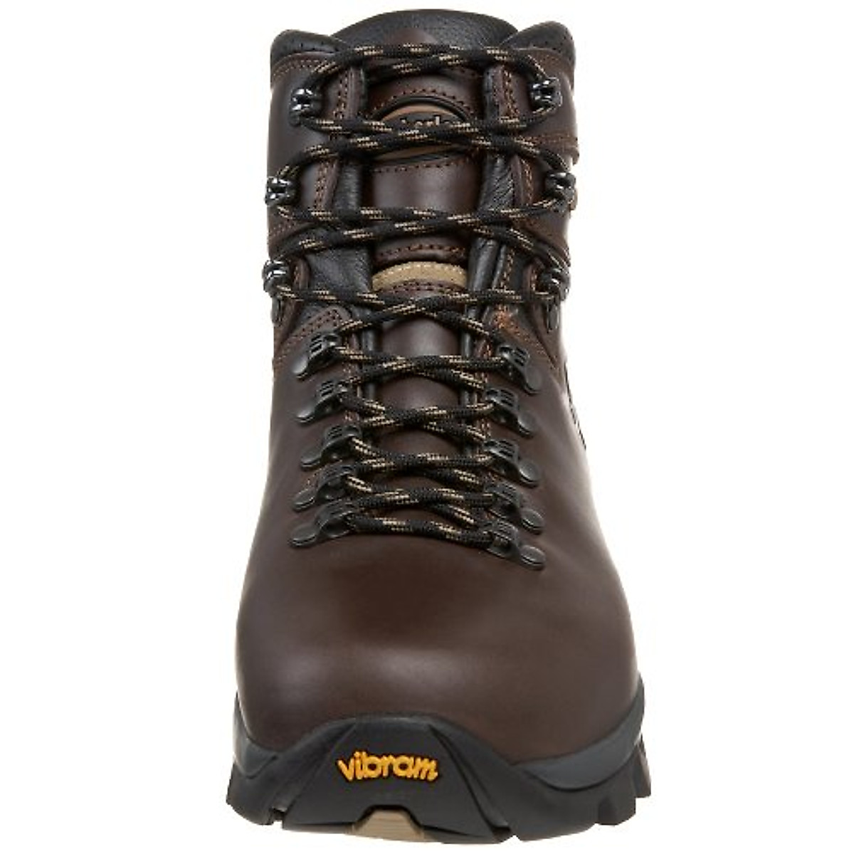 Zamberlan Women's 996 Vioz GT Hiking Boot,Dark Brown,40 M EU/8 M US