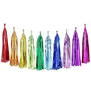 Rainbow Tissue Paper Tassel Garland Pre-Assembled 10 Colors Paper Tassel Colorful Paper Tassel Garland Table Decor for Christmas Birthday Wedding Bridal Shower Party (foil Rainbow tassl)