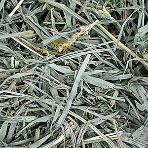 Oxbow Animal Health Meadow Hay - All Natural Hay for Rabbits, Guinea Pigs, Chinchillas, Hamsters & Gerbils - 15 oz.