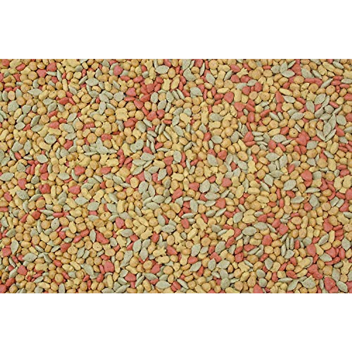 Higgins 2 Pack of Intune Complete and Balanced Diet Conure and Cockatiel Food, 2 Pounds Each