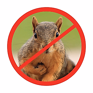 Scram, Squirrel by Slinky, Squirrel-Proof Bird Feeder Accessory that Guards Bird Seed, Kids Toys for Ages 5 Up by Just Play