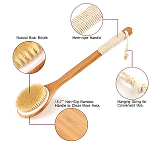 Bath Body Brush Set for Wet or Dry Brushing - Natural Detoxifying Facial Brush & Long Handle Body Brush - Exfoliating Dry Skin, Stimulate Blood Circulation - Set of 3