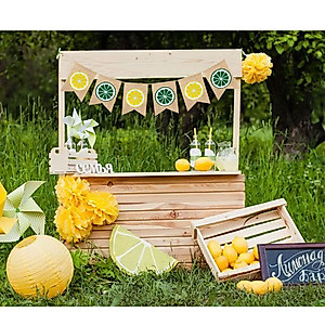 Uniwish Lemon Slices Banner Garland Lemonade Stand Decorations Lemon Theme Bridal Shower Birthday Hanging Bunting Home Outdoor Decor
