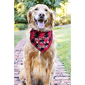 Ptzizi Funny Red Plaid Cotton Triangle Dog Bandana, Reactive Give Me Space Dog Scarf Small Medium Large Boys Girls Pet Dog Birthday Party Decorations Gifts for Pet Dog Lovers