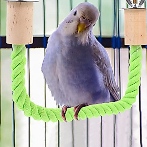 Ipetboom Parrot Stand Bars Parrot Bite Toy 2pcs Parrot Perch Platform Cage Bird Climbing Stand Bird Bungee Toy for Parakeet Cockatoo Conure Lovebirds Finch Canaries Bird Cage Stand Parrot Rope Perch
