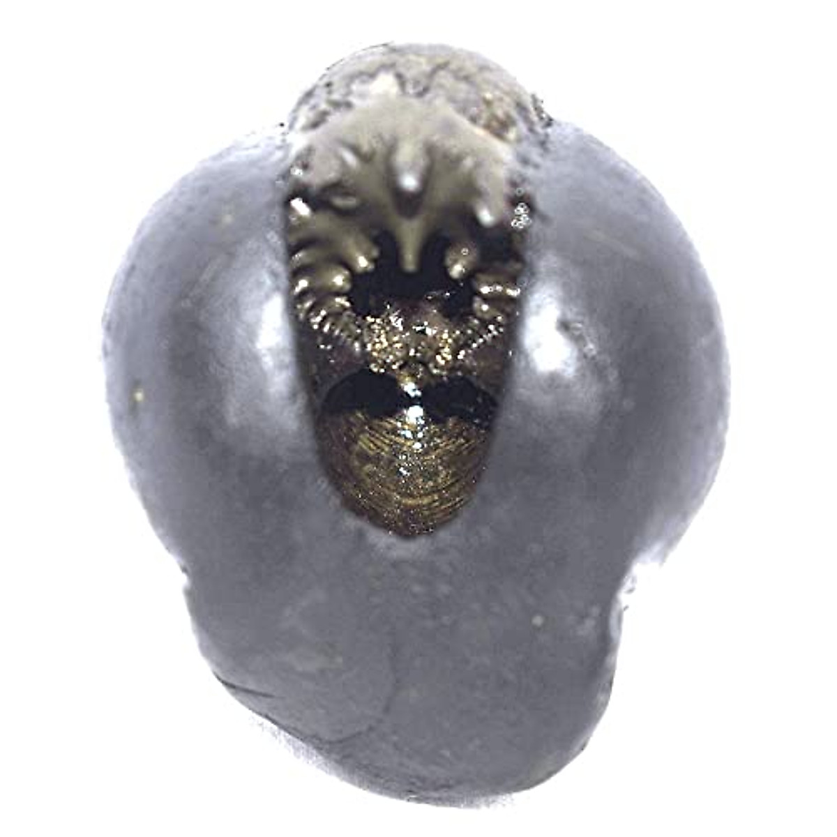 Rudrakshguru Wooden Bhuvaneshwari Shaligram (Black, 2.50 x 2-inch)