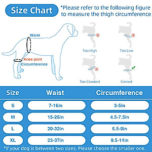 Adjustable Luxating Patella Brace for Dogs-Comfortable Knee Support for Joint Pain Relief,Suitable for Small,Medium,and Large Dogs（M）