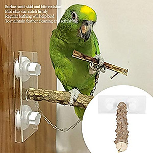 Bird Standing Rod, 30CM Parrot Bath Standing Rack Bird Wall Mount Perch with Suction Cup Shower Bath Toy for Bird Parrot