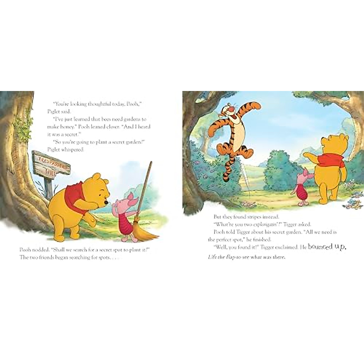 Winnie the Pooh: Pooh's Secret Garden (Disney's Winnie the Pooh)