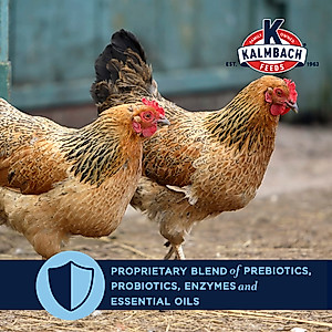 Kalmbach Feeds 1 Piece Layer Crumbles, 50 Lb