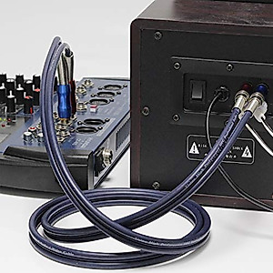 Disino Dual 1/4 inch TS to Dual RCA Stereo Audio Interconnect Cable Patch Cable Cords -3.3 ft