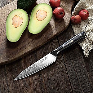 PAUDIN Utility Knife, 5'' Paring Knife, Damascus Kitchen Knife, 67-Layer Forged Blade Ultra Sharp Edge, Stainless Steel Knife, Full Tang G10 Handle with Triple Rivets, for Cutting Fruit and Vegetables
