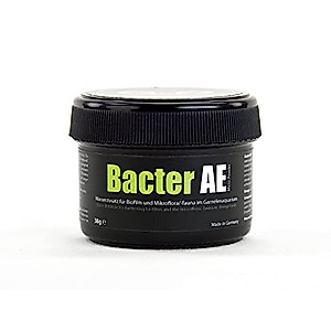 GlasGarten Bacter AE Shrimp Tank Treatment (35g) | Nutrients for Live Freshwater Shrimp Food/Aquarium Water (Neocaridina, Amano, Red Cherry, Rili)