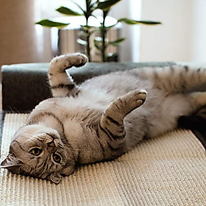 Navaris 2X Cat Scratch Mats Sofa Protector - Natural Sisal Furniture Protector Scratching Pads for Cats - Chair, Couch, Seat, Stairs