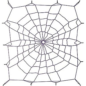 WOLF 8011103 Spidy Luggage Web