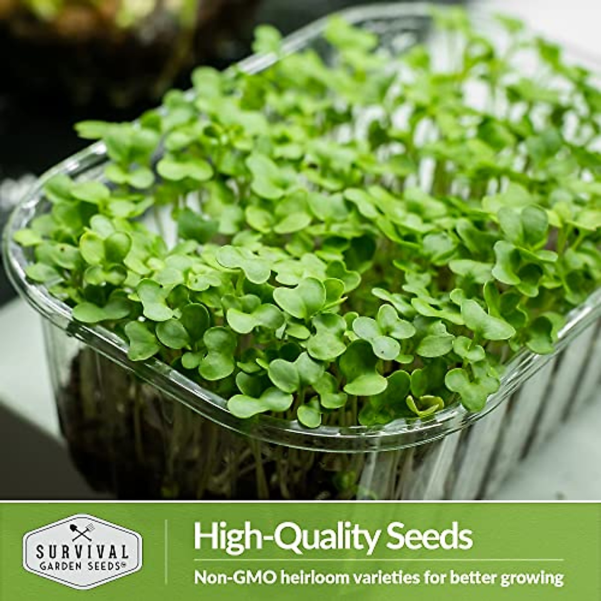 Survival Garden Seeds Broccoli Microgreens for Sprouting and Growing - Seed to Sprout Green Leafy Micro Vegetable Plants Indoors - Grow Your Own Mini Windowsill Garden - Non-GMO Heirloom Variety
