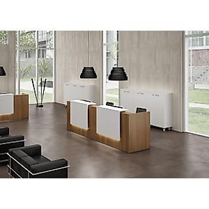 UGOS ICN 53" Modern Reception Desk, Multifunctional Modern,Transaction Countertop, Laminate Desktop, Standing Front Table for Office, Home, School, Salon, Spa - Teak and White