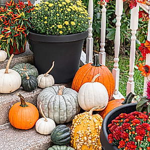 Bloem Terra Pot Planter: 24" - Black - Durable Resin Pot, for Indoor and Outdoor Use, Gardening, 16 Gallon Capacity, Saucer Sold Separately