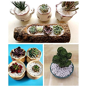 VEOAY Natural Decorative Polished White Pebbles for Landscping Home Decor, etc 0.24"-0.35"(2-lb Bag)