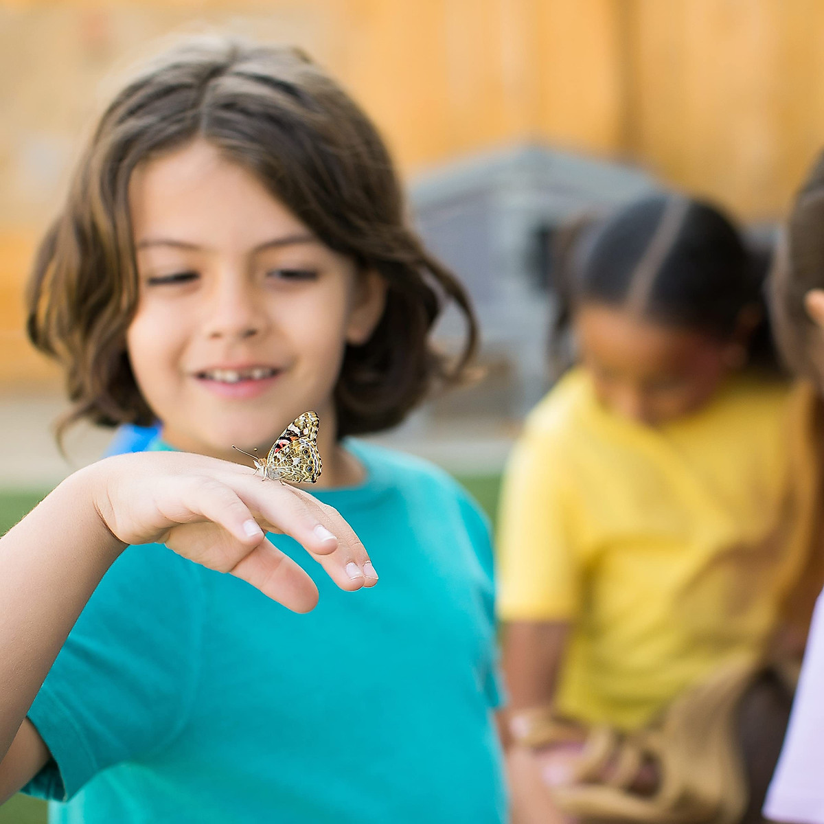 Insect Lore Two Cups of Caterpillars - Life Science & STEM Education
