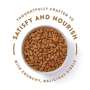 NUTRO ULTRA Adult High Protein Natural Dry Dog Food with a Trio of Proteins from Chicken, Lamb and Salmon, 30 lb. Bag