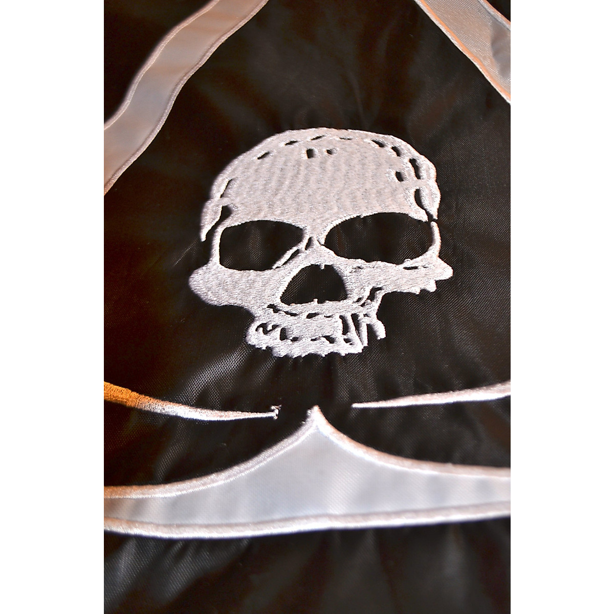 Assassin's Creed IV 4 Black Flag from Limited Collector's Edition