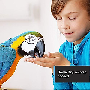 HARI Tropican Bird Food, Hagen Parrot Food with Peanuts & Sunflower Seeds, Maintenance Parrot Granules, Lifetime Formula, 1.8 lb Bag