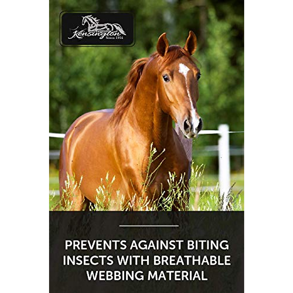 Kensington Fly Mask with Fleece Trim for Horses — Protects Face and Eyes From Flies and UV Rays While Allowing Full Visibility — Breathable and Non Heat Transferring Makes it Perfect Year Round, Large, Deluxe Black Plaid