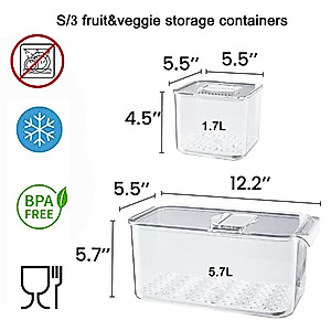 vacane Fresh Produce Saver for Refrigerator, 3 Pcs Food Fruit Lettuce Keeper Containers, Salad Vegetable Storage Organizers Stackable, BPA-free Stay Fridge Storage Containers