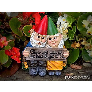 DWK - Growing Old Together - Garden Gnome Couple in Love Collectible Figurine Best Friends Lovers Romantic Statue Indoor Outdoor Garden Patio Home Décor, 5.75-inch