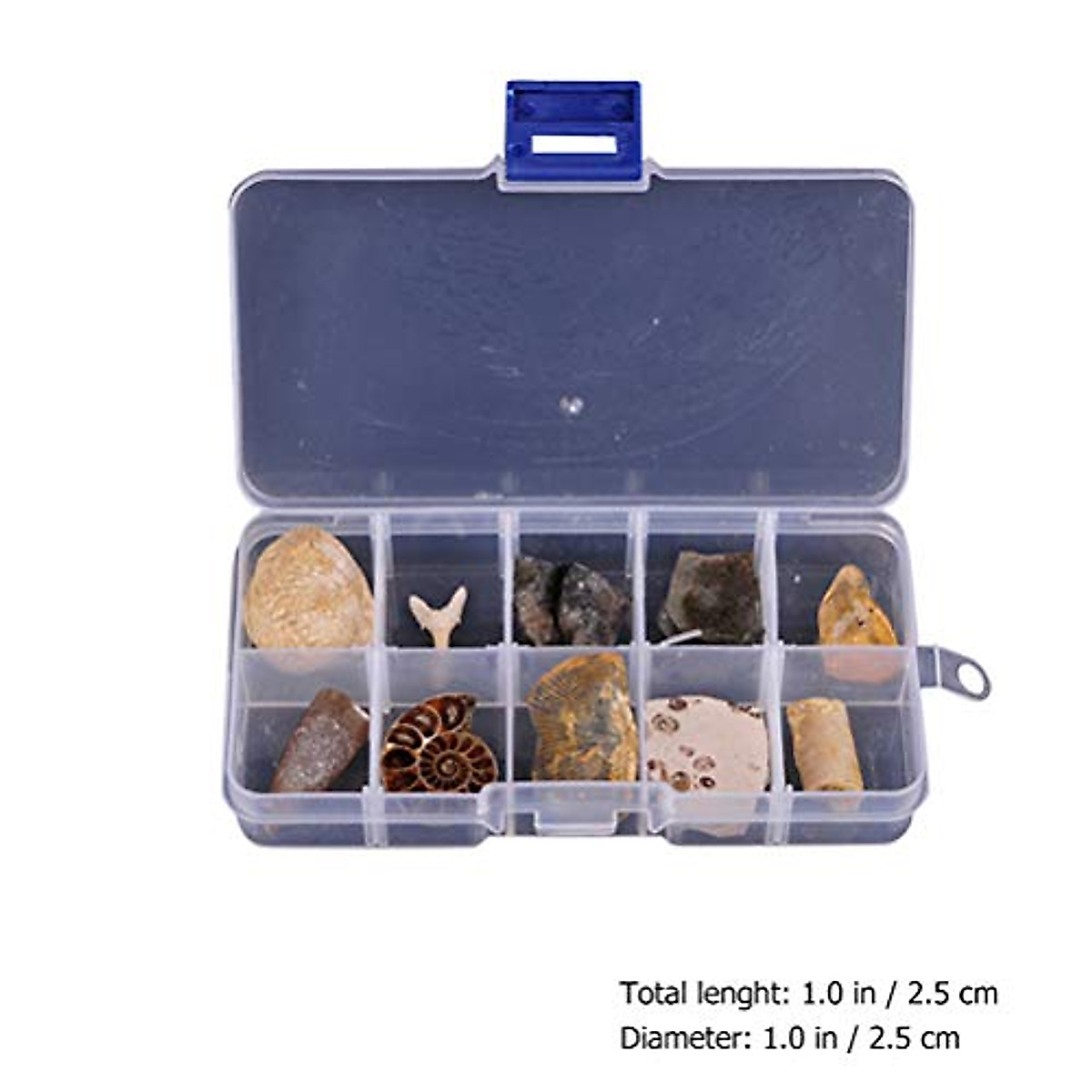 Hemobllo Fossil Specimens Collection Set, 10PCS Paleontology Fossil Specimens, Trilobite Amber Fossil Educational Science Kits, Creative Science Decoration Stone