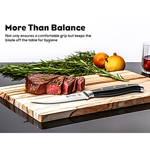 BRODARK Steak Knives Set of 8, Serrated Steak Knives with Full Tang Handle, High Carbon Stainless Steel Steak Knife Set, NSF Certified, Steel-King Series