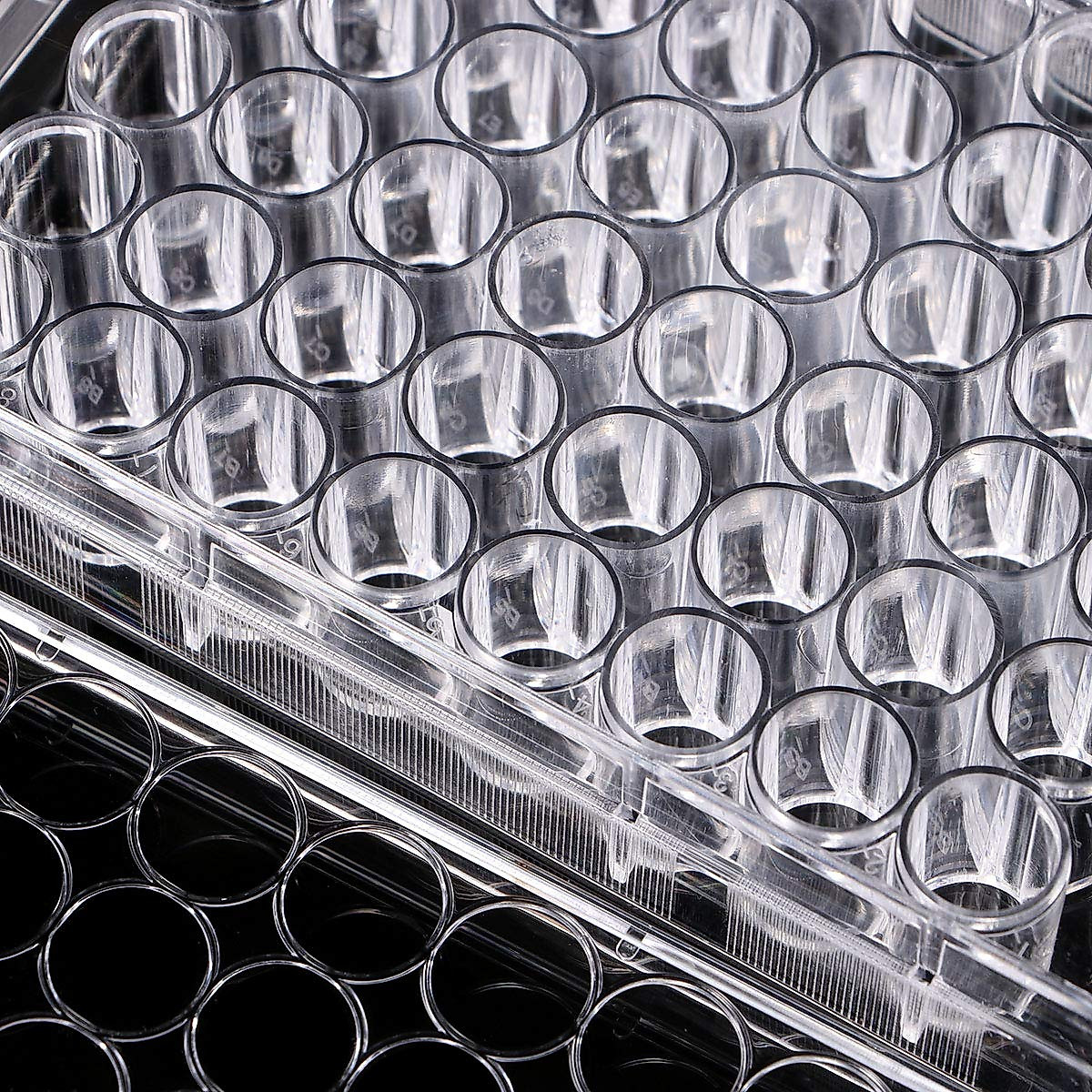 UKCOCO Plastic Premium Culture Plate 48 Well Cell Culture Plate for Lab