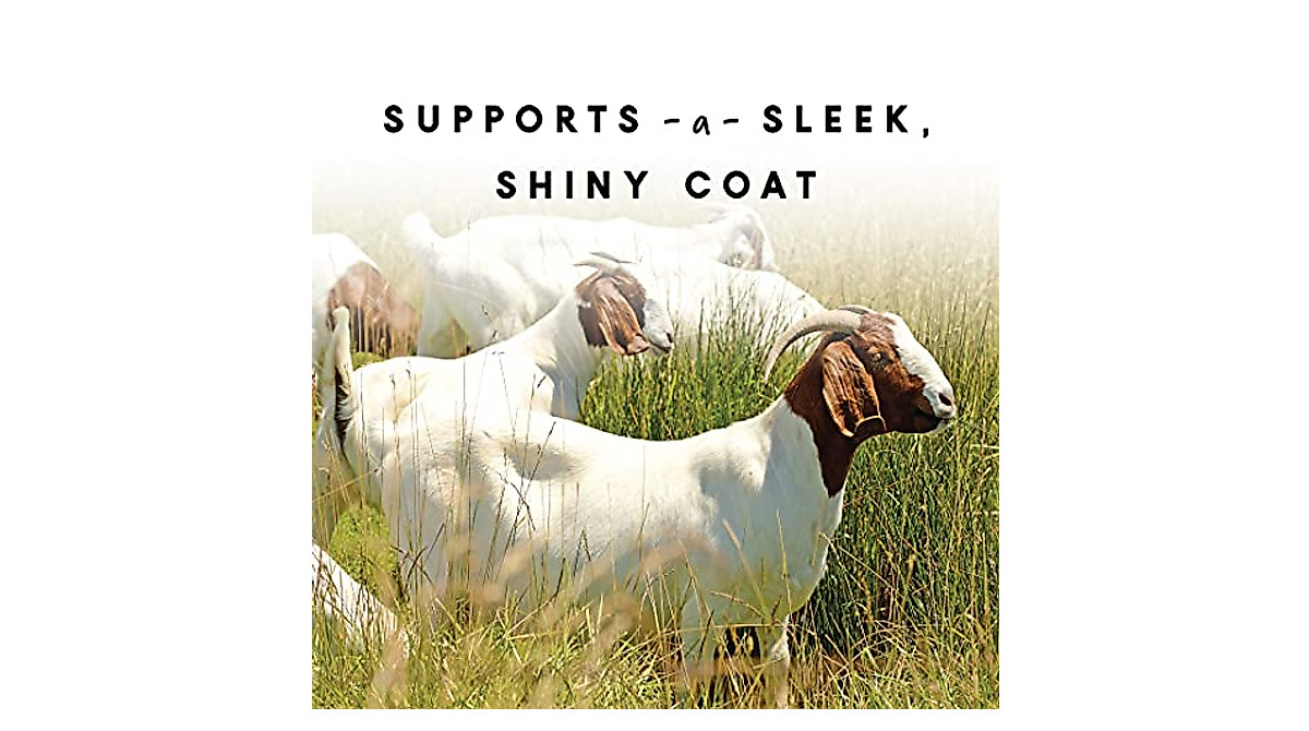 Manna Pro Goat Skin & Coat Supplement for Healthy Goats