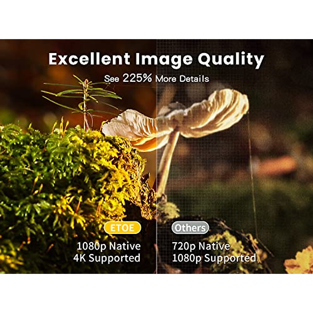 ETOE D2 Pro Projector with Tripod Stand