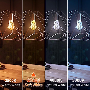 Decoaui E26 ST64 Vintage Edison Light Bulbs, Smoky Grey Coated Glass, Dimmable, 4W(20W Equivalent) 200 Lumin, 2700K Soft White, Spiral Filaments Design, Antique Style, 25000 Hrs, 3-Pack