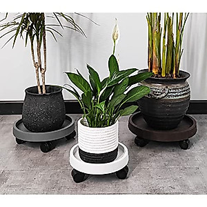 Plant Caddy Plants Mobile Base Plant Caddy Plant Tray on Wheels Plant Pot Base Can be Used in Office, Living Room, Balcony, Patio or Garden Flowerpot Tray (Color : Gray, Size : 22cm)