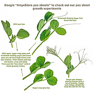 Sugar Snap Pea Seeds for Planting Vegetables and Fruits.Non GMO Heirloom Seeds Vegetable Seeds for Planting Home Garden or Hydroponic Pods-15g, Approx. 65 Garden Seeds Sugar Snap Pea Plant Seeds. USA