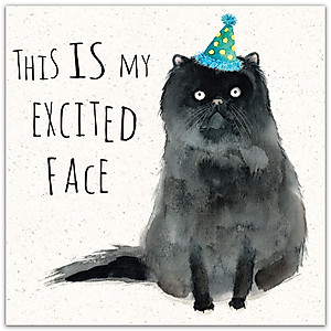 Twizler Funny Birthday Card Cat – Funny Birthday Card Women – Funny Birthday Card Men – Funny Birthday Card For Her – Funny Birthday Card For Him - Funny Card Birthday – Happy Birthday Card – Cat Card