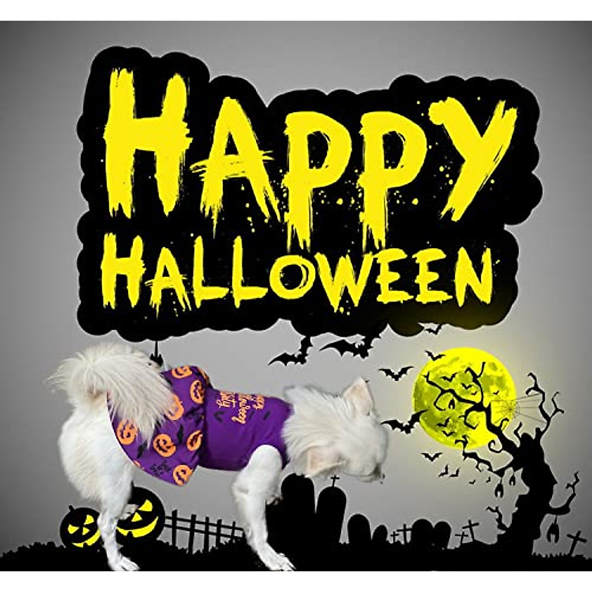Dog Halloween Witch Dresses Costumes Puppy Skirts Apparel for Funny Pumpkin Head/Bat Party Dress Cosplay Halloween Costume for Small Medium Dogs Cats (Medium, Purple)