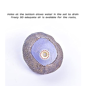 Cute Little Hedgehog Flowerpot with Drainer Garden Flowerpot Resin Succulent Potted Bonsai Plant Stand Home Desk Mini Ornaments Does Not Contain Plants