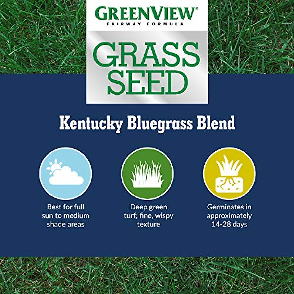 GreenView Fairway Formula Grass Seed Kentucky Bluegrass Blend - 3 lb. Bag