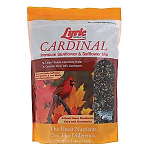 LYRIC CARDINAL 3.75# BAG
