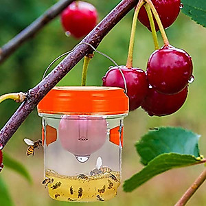 Wasp Traps Outdoor Hanging 2 Pack Fly Traps Bee Traps for Outside Light Attract Carpenter Bees Yellow Jackets Fruit Flies Mosquito Hornet Wood Bee Trap Solar Power Reusable Outdoor Indoor Waterproof