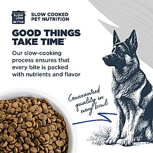 Blackwood Grain Free Dry Dog Food, Chicken & Field Pea Recipe, 10 Pound Bag for All Life Stages, Slow Cooked with Vitamins & Minerals for a Balanced Diet