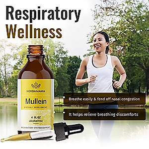 Mullein Leaf Tincture - Lung Cleanse - Vegan Mullein Drops - Lung Detox - Respiratory Health and Immune Support Drops - Natural Supplement Liquid Extract 4 fl.oz.