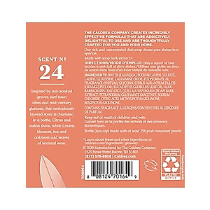 Caldrea Dish Soap, Biodegradable Dishwashing Liquid made With Soap Bark And Aloe Vera, Tangelo Palm Frond Scent, 16 Oz