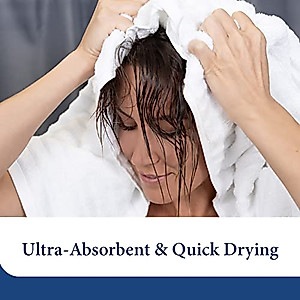 Cosy House Collection 2-Pack Classic Cotton Hand Towel Set - Ultra Soft, Absorbent & Quick Drying - Luxury 100% Cotton Plush Towel - for Bathroom, Shower & Kitchen (Hand Towel, White)