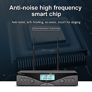 n/a Wireless Microphone UHF 2 Channels Handheld Frequency Adjustable for Party Stage Show 50M Use Distance