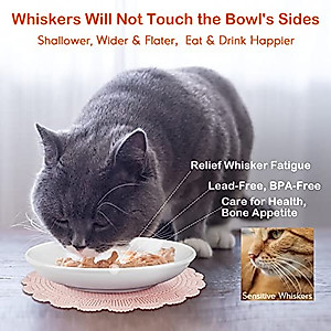 𝟮𝟬𝟮𝟯 𝐍𝐄𝐖 Anti Whisker Fatigue Cat Bowls, Healthy Ceramic Cute Flat Cat Food Bowl for Indoor Cats, Cat Dishes Shallow Wide Cat Plates for Wet Food, Small Whisker Friendly Pet Cat Feeding Bowls